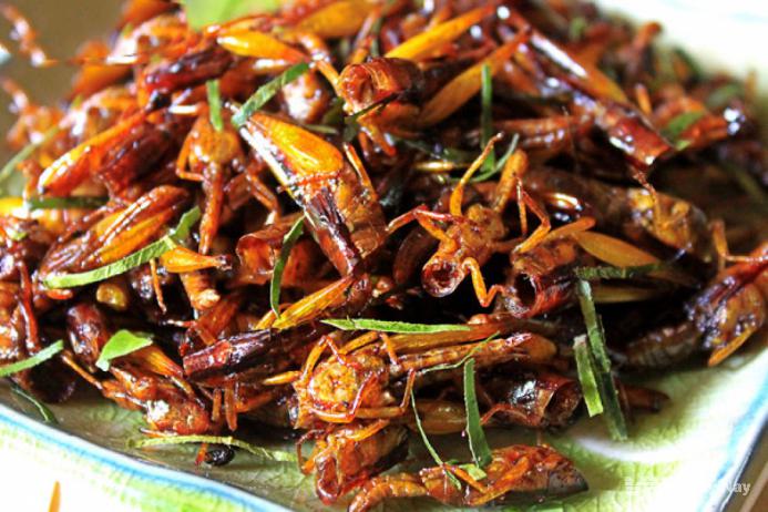 The 13 unusual dishes of Vietnam that scare tourists - Travel agency in ...