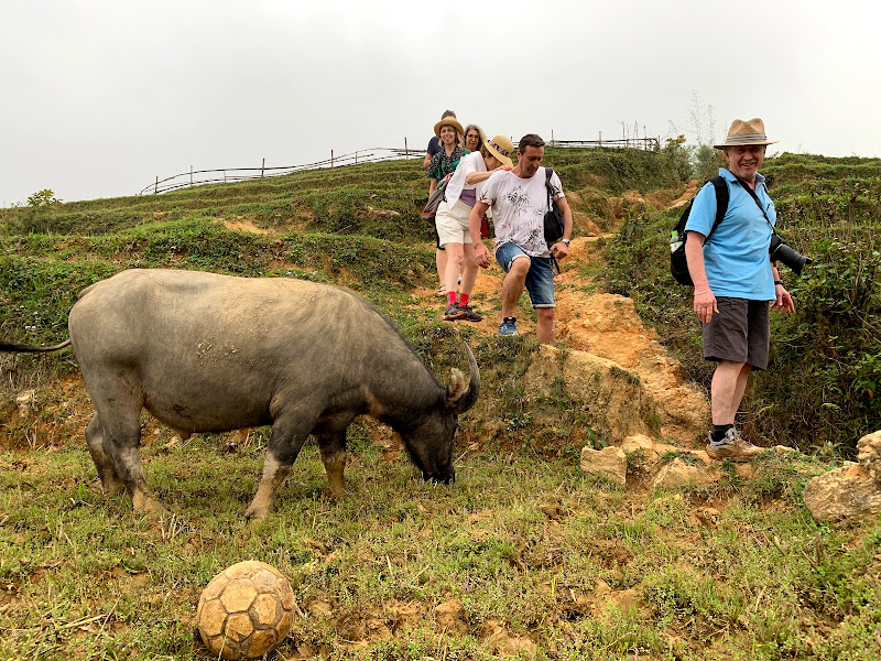 Trekking in Bac Ha - Travel agency in Vietnam